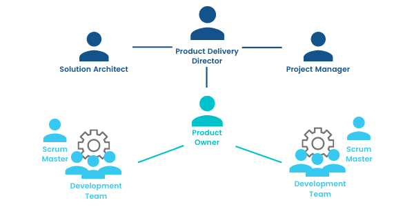 Software Development Team Structure 🤔